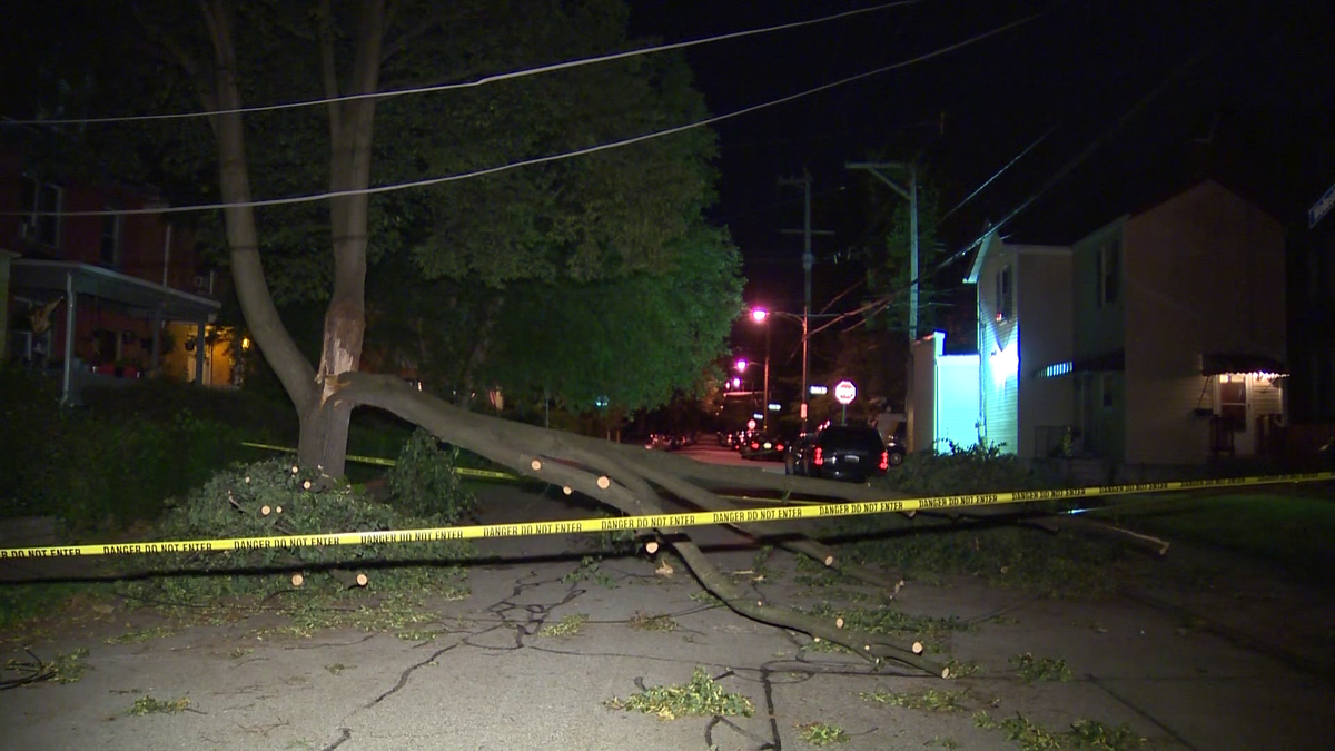 Tree comes down, blocking road in Pittsburgh