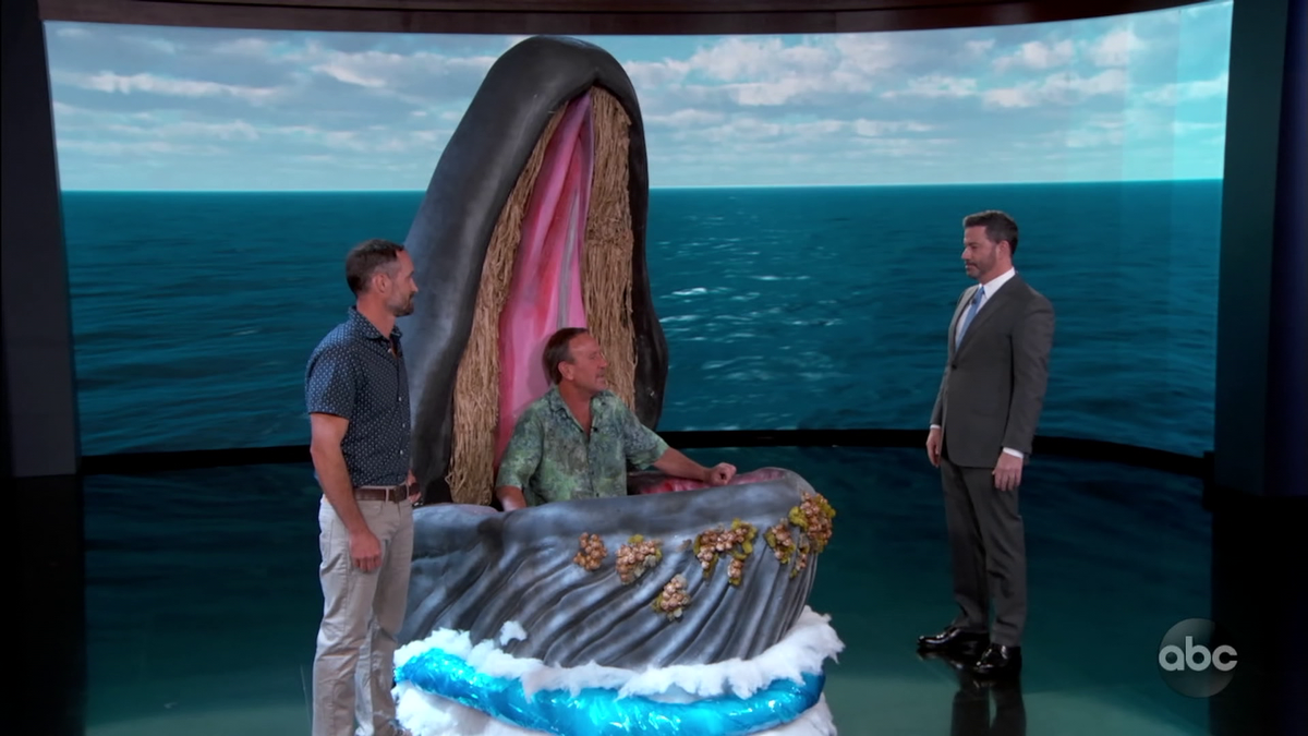 Cape Cod lobster diver ends up back in whale's mouth on 'Jimmy Kimmel ...