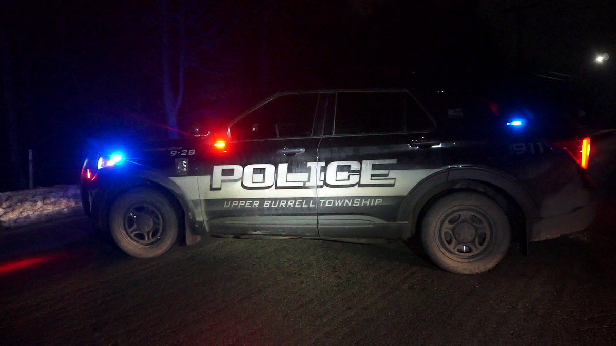 Police respond to crash in Lower Burrell