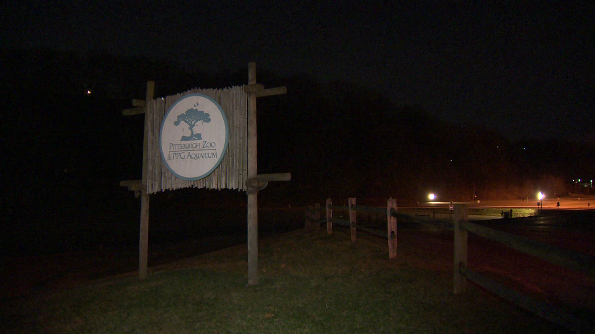 Man apprehended after breaching fence at Pittsburgh Zoo & PPG Aquarium