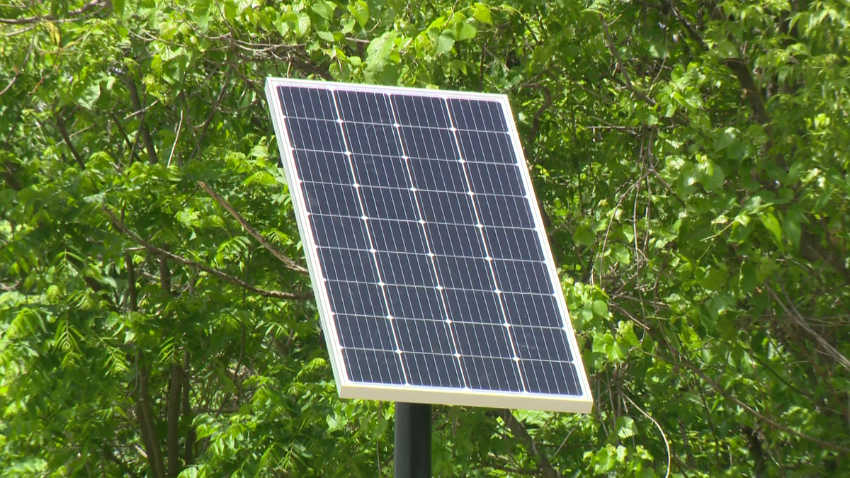 Celebrating Earth Day: Renewable energy