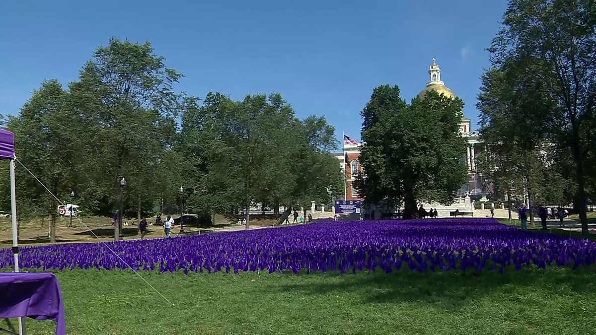 Massachusetts marks International Overdose Awareness Day with flags ...