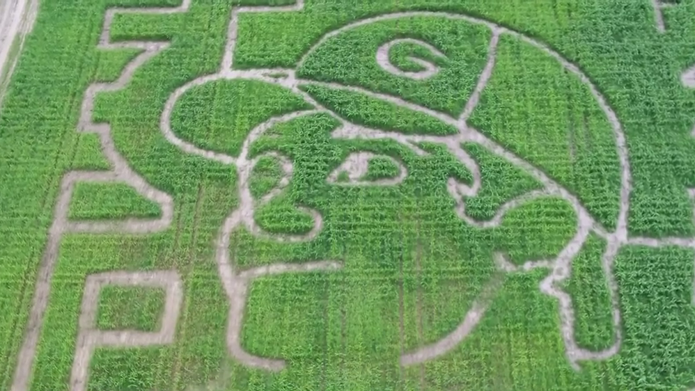 Georgia QB Stetson Bennett featured in Poppell Farms maze