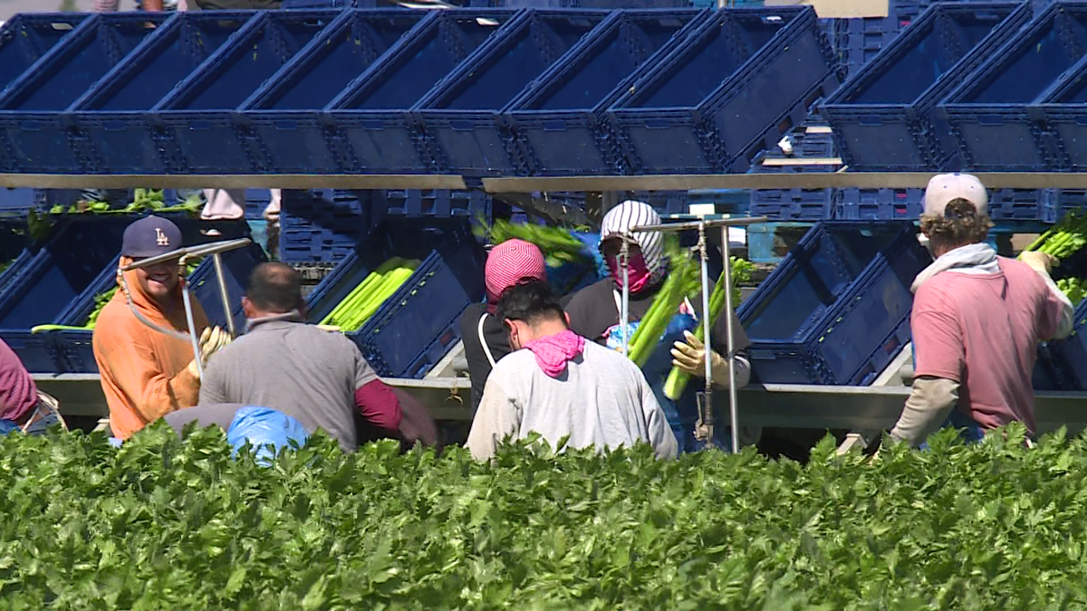 Central Coast Latino organizations earn grants to help Latino entrepreneurs