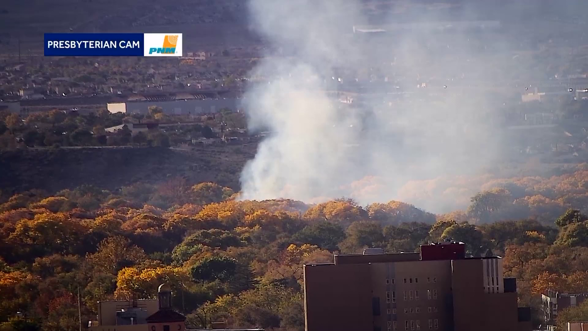 Crews respond to bosque fire near downtown Albuquerque