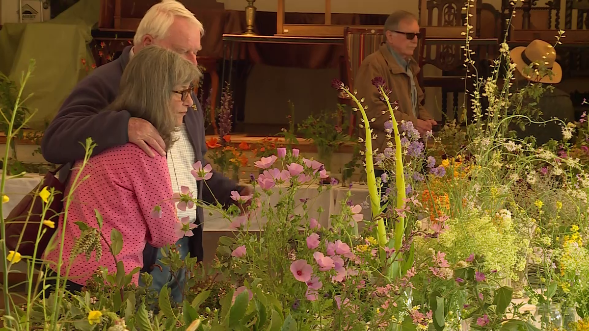 Super bloom in a room: An indoor wildflower show in Carmel