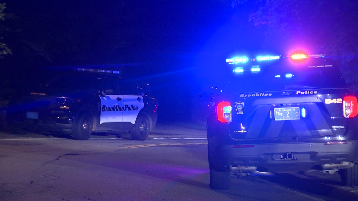 Armed suspects force way into Brookline home