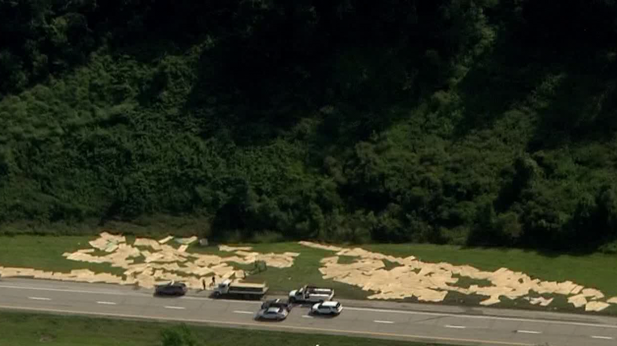 Wood spills during tractor-trailer rollover crash in Fayette County