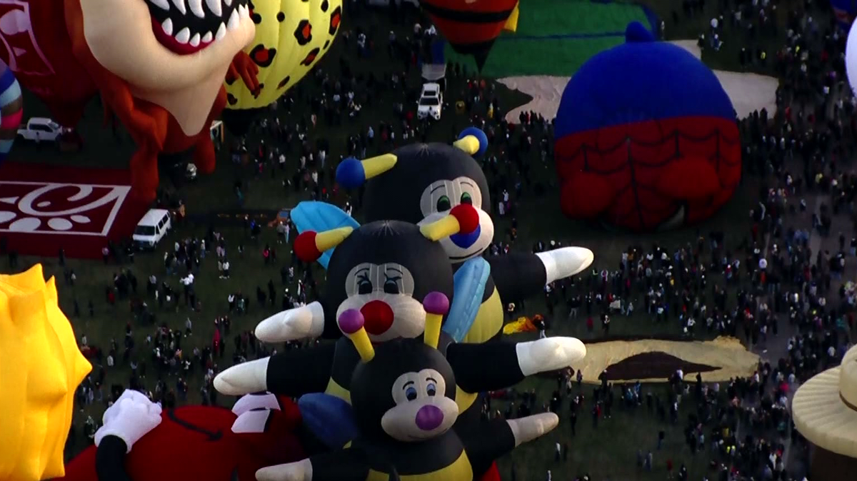 Static display for the Balloon Fiesta Special Shapes Rodeo