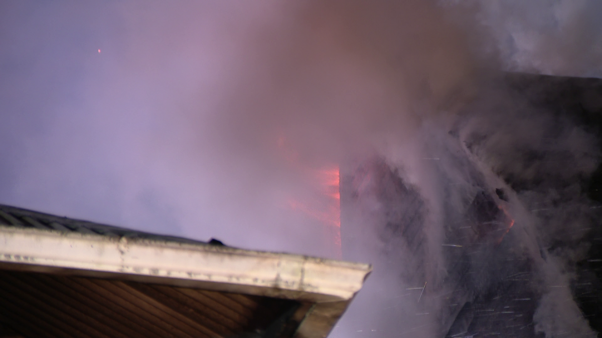 Ava Rash - Journalist Profile - Intelligent Relations