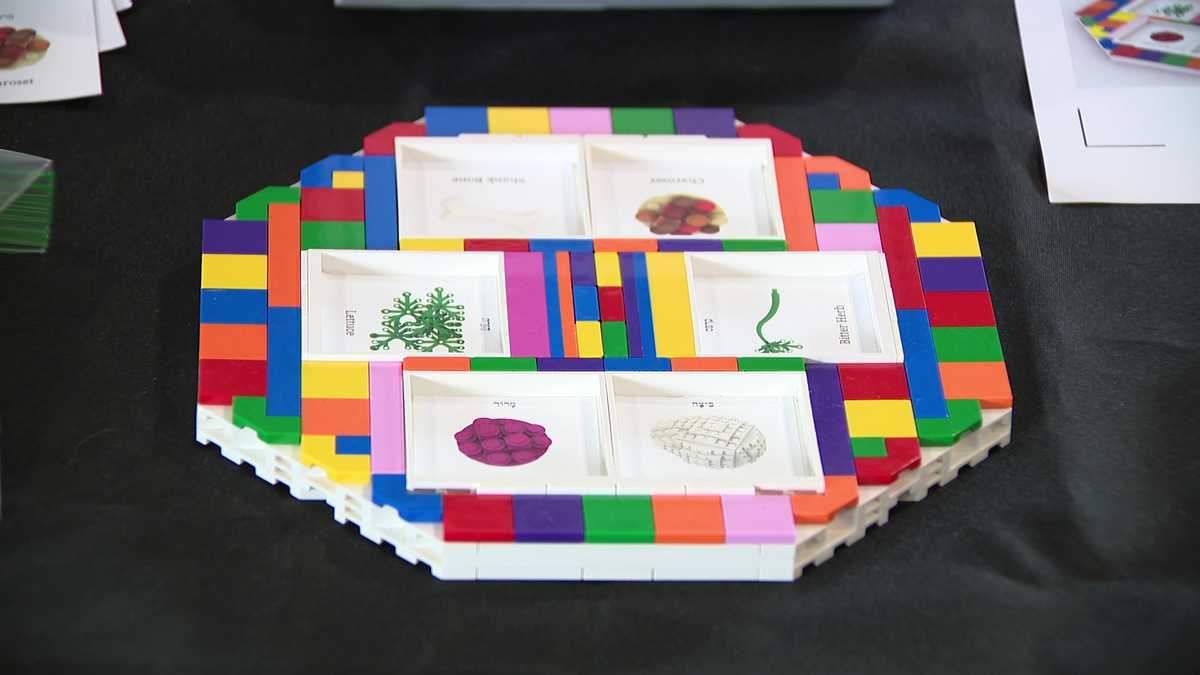 South Hills teen making Passover seder plates out of Legos