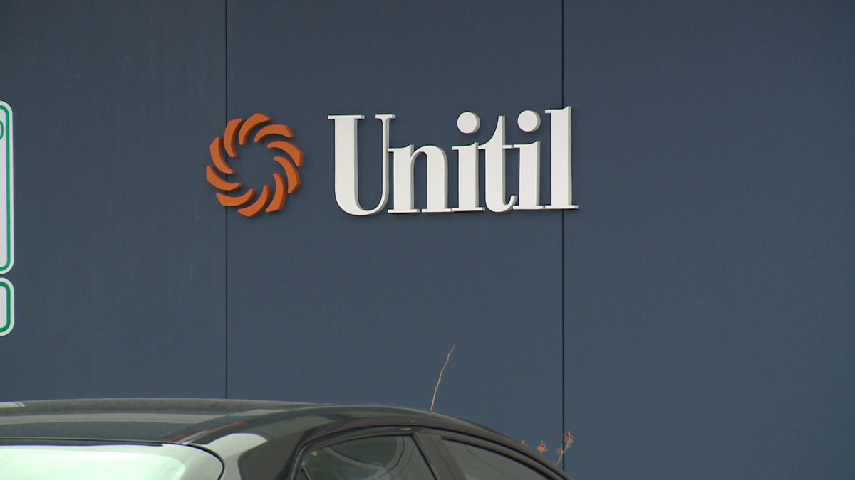 Unitil says 11% of its power outages are squirrel-related