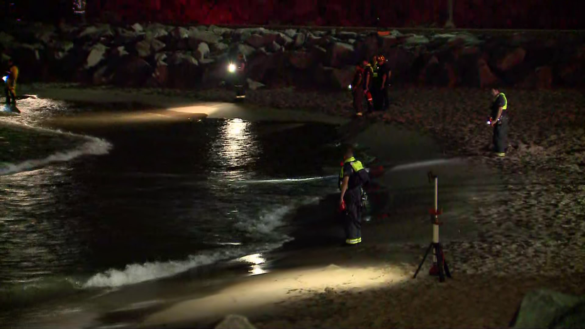 Teen's body found in Lake Michigan, two other teens rescued