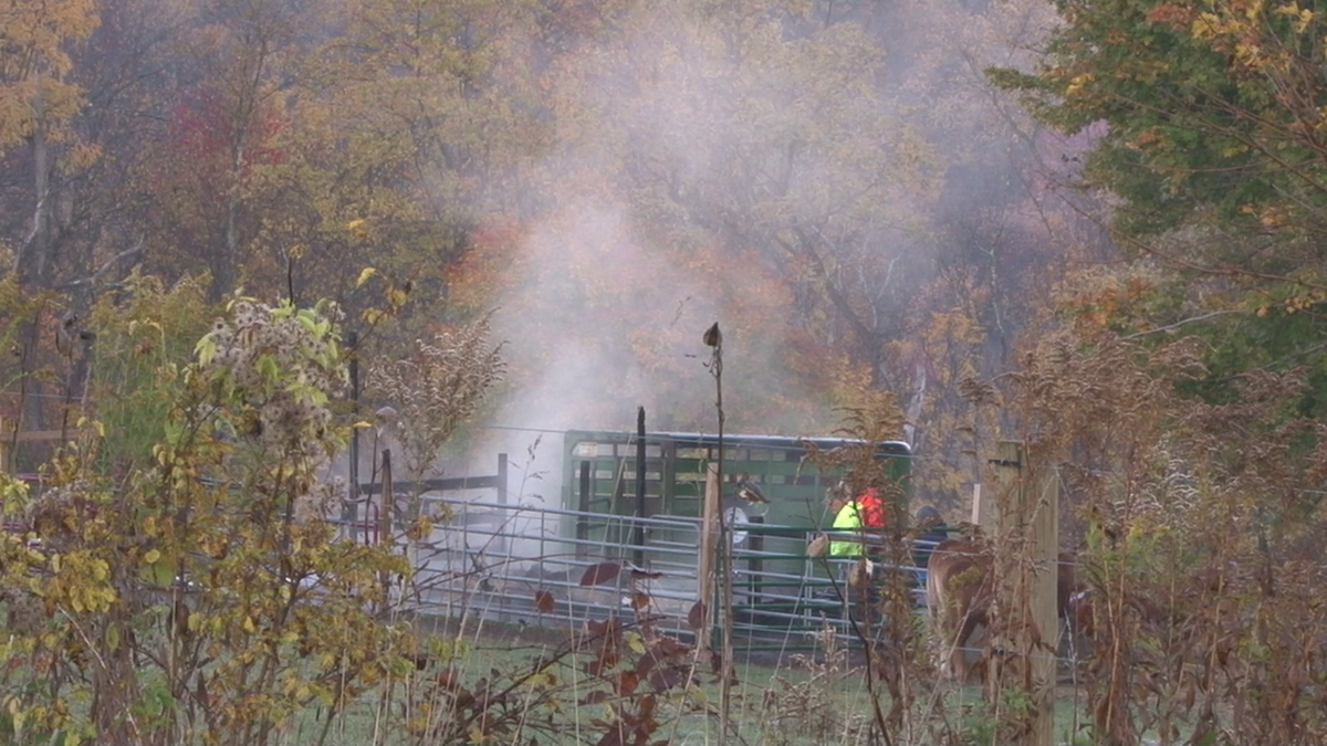 Fire tears through barn in Fayette County