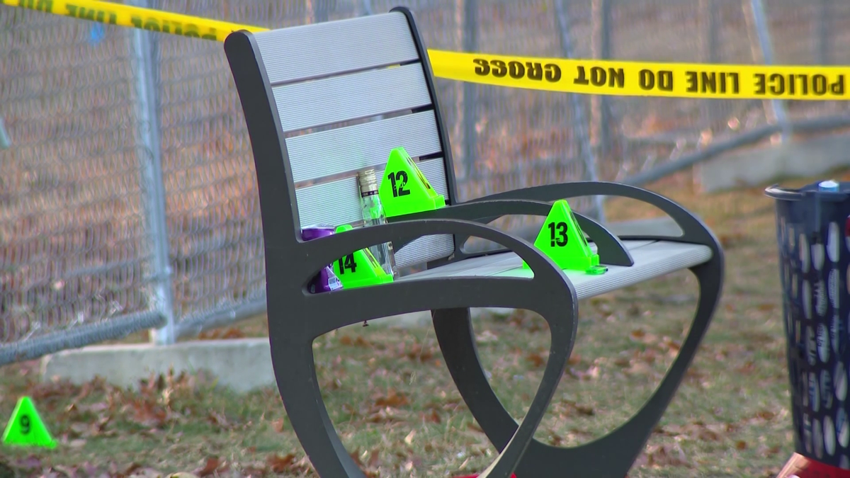 Police identify woman who died after stabbing at Boston park