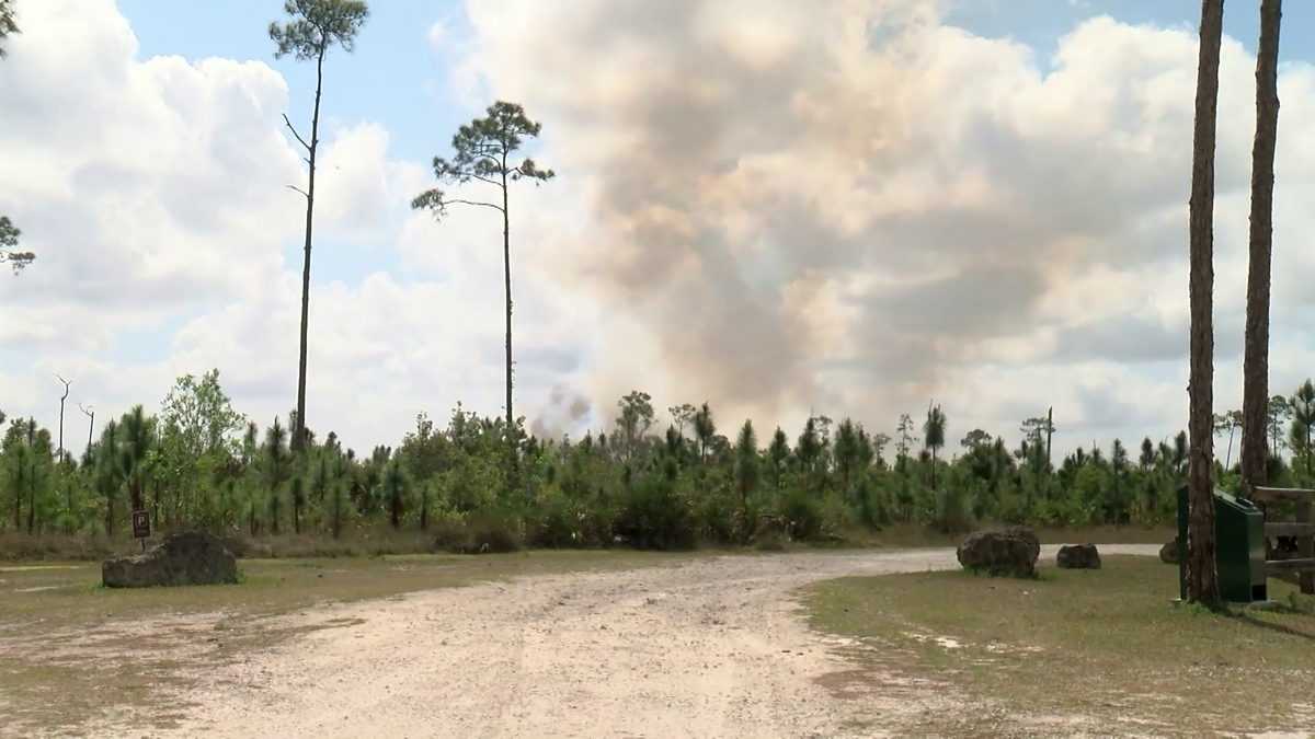 Brush fire burned more than 200 acres in Picayune Strand in Collier County