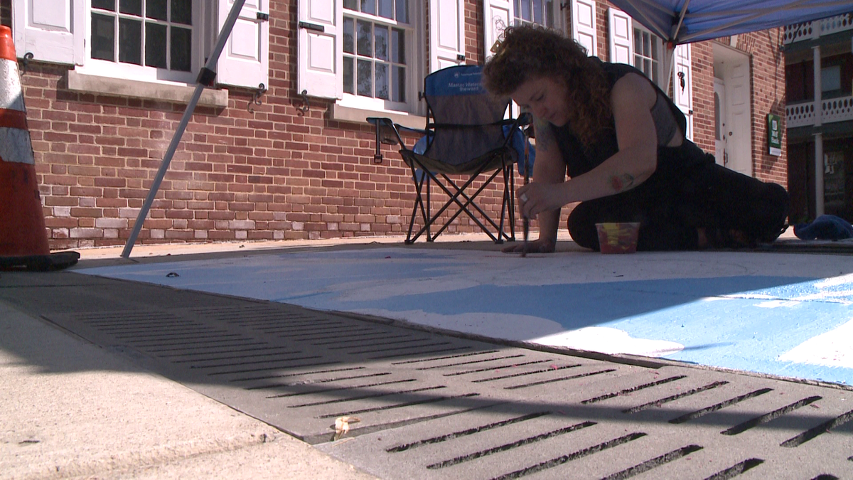 Sidewalk murals in downtown York aim to bring awareness to stormwater ...
