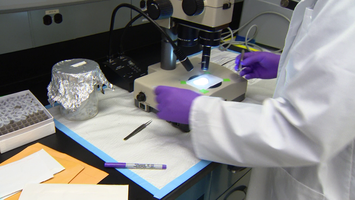 Professor provides tips on checking for ticks amid surge in bites