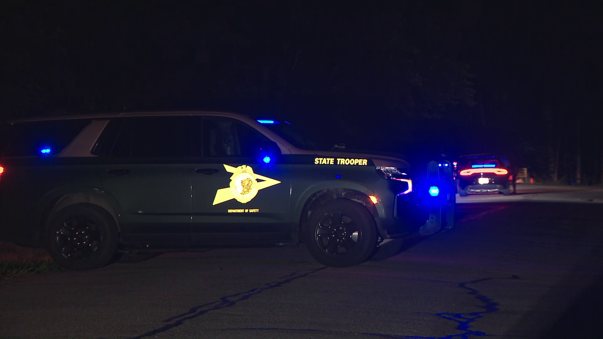 Mom killed NH family before turning gun on herself, investigators say