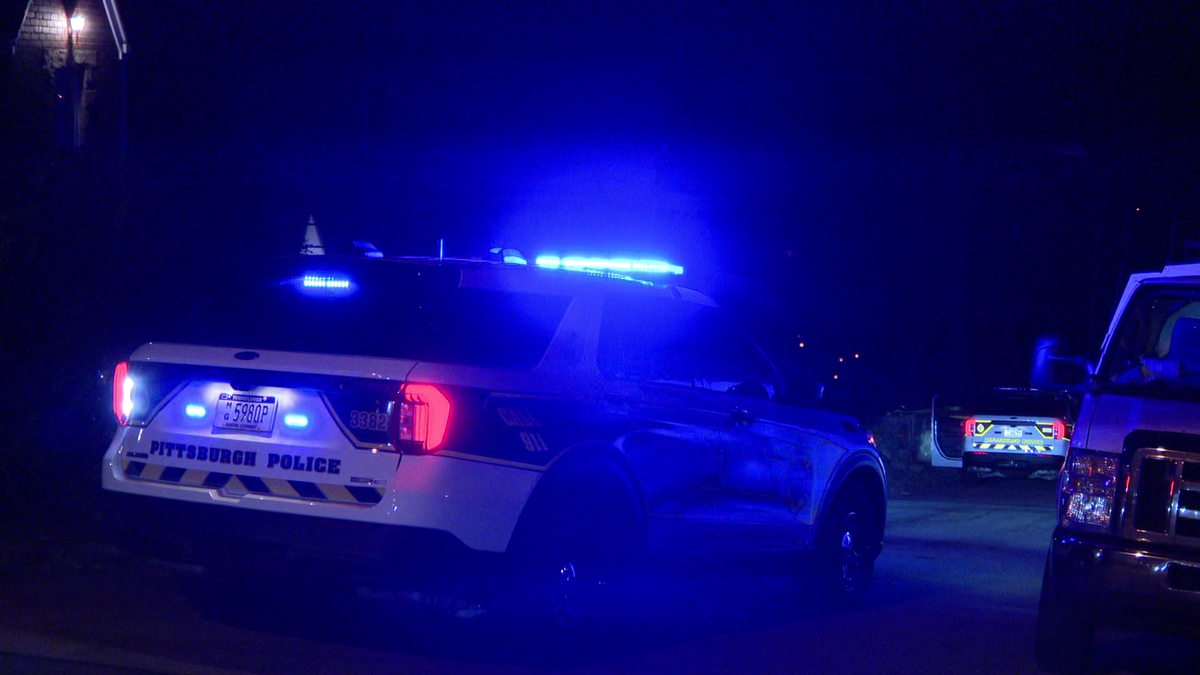 Man shows up at the hospital after being shot in Pittsburgh’s Carrick ...