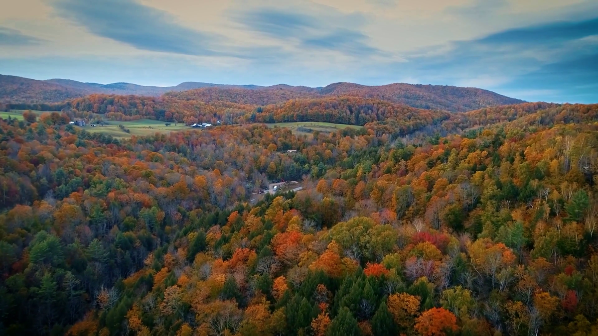 New England foliage forecast: Colors expected to peak early