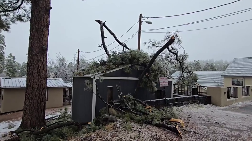 LIVE UPDATES: Strong winter storm brings ice & snow to New Mexico