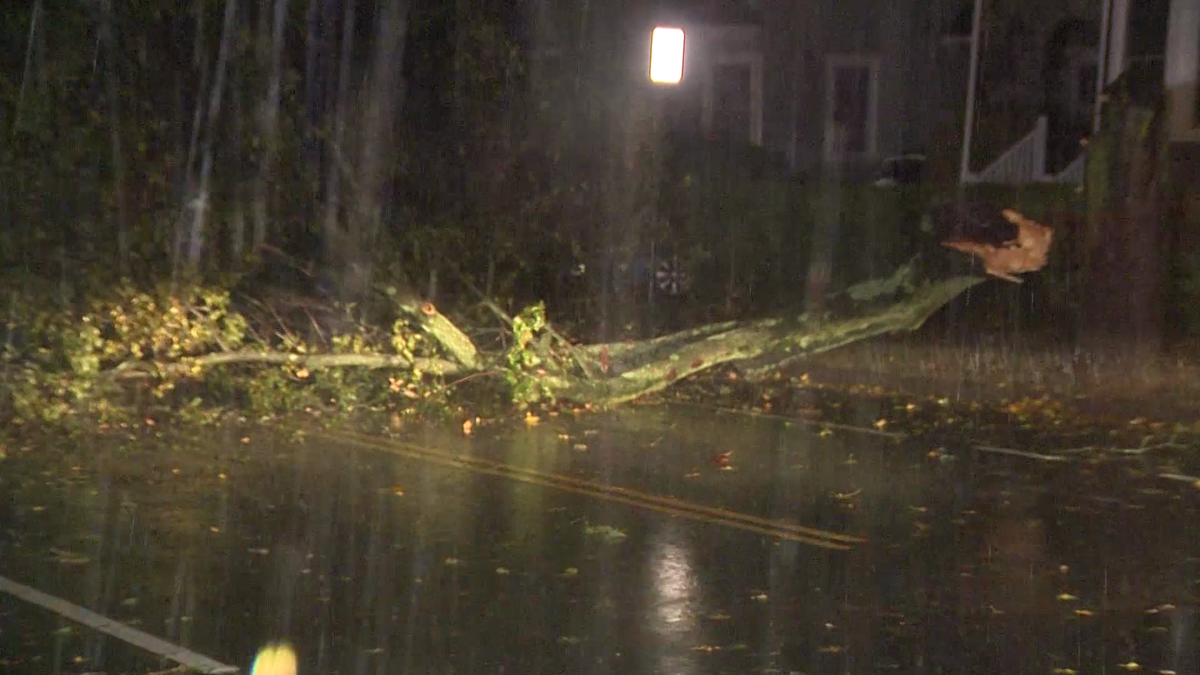 Images: Powerful storm leaves trail of damage across state
