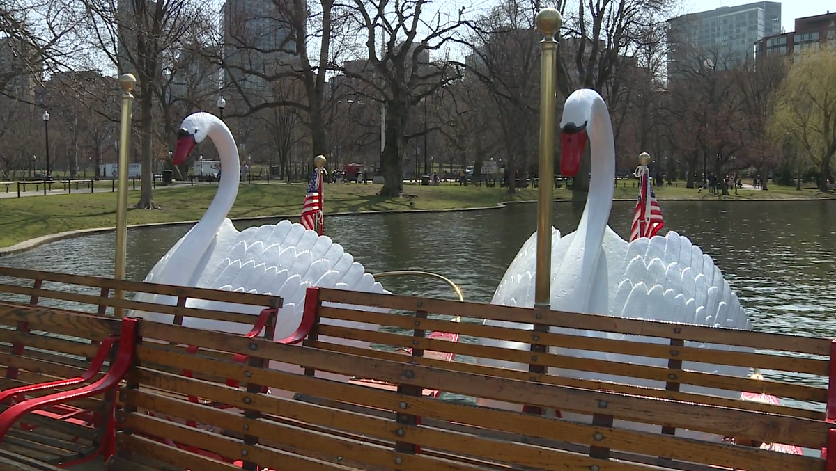 Swan boats set to make glorious return to Public Garden