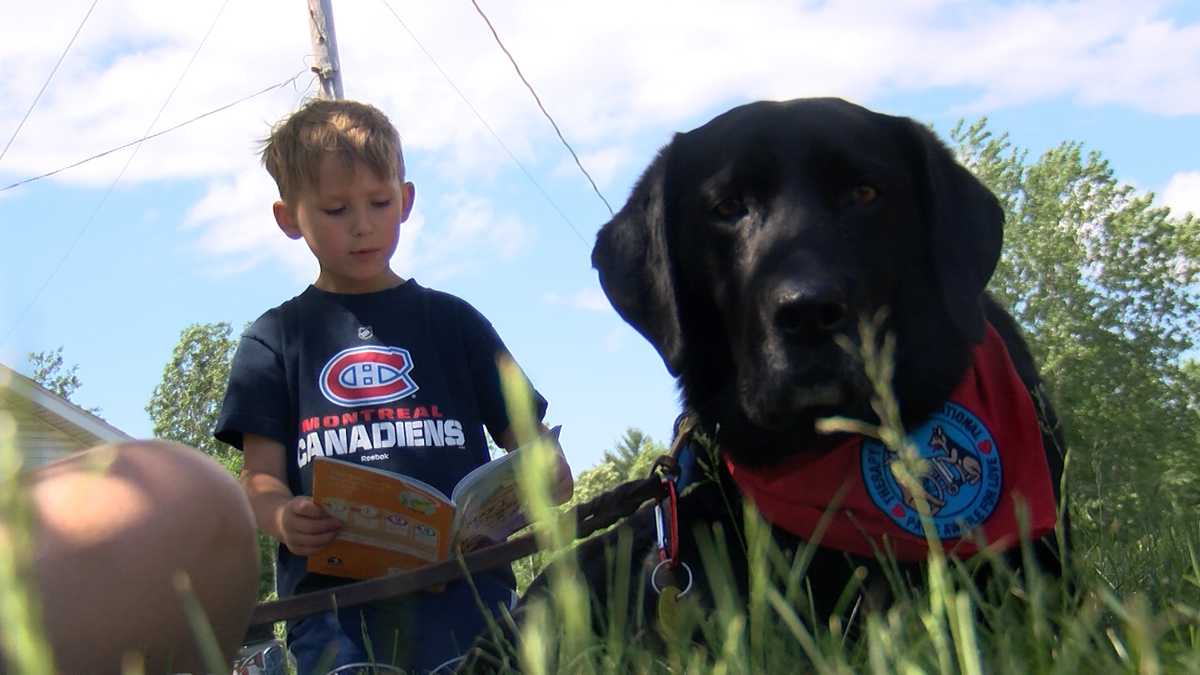 North Country dog club hosts open house, prepares for summer classes