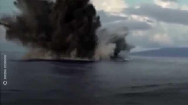 These Marine Creatures Live Inside Of A Volcano!