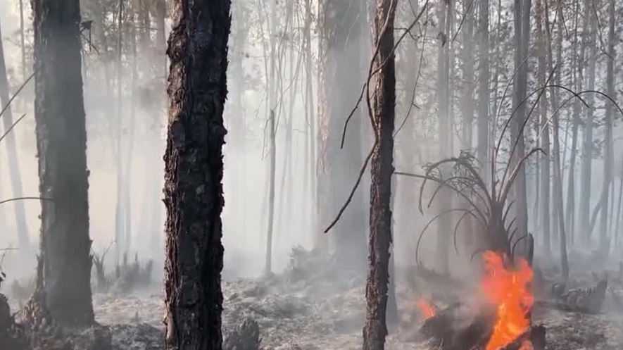 Seminole and Volusia County firefighters respond to brush fire