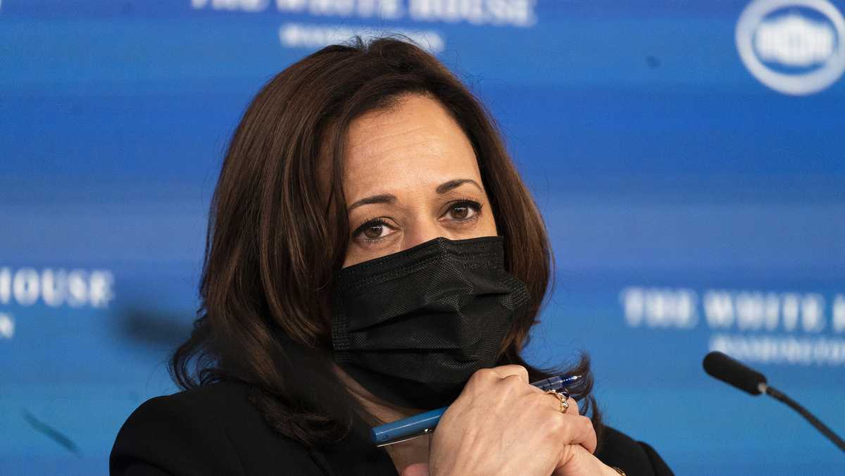 Vice President Harris leads discussion about pregnancy issues Black ...
