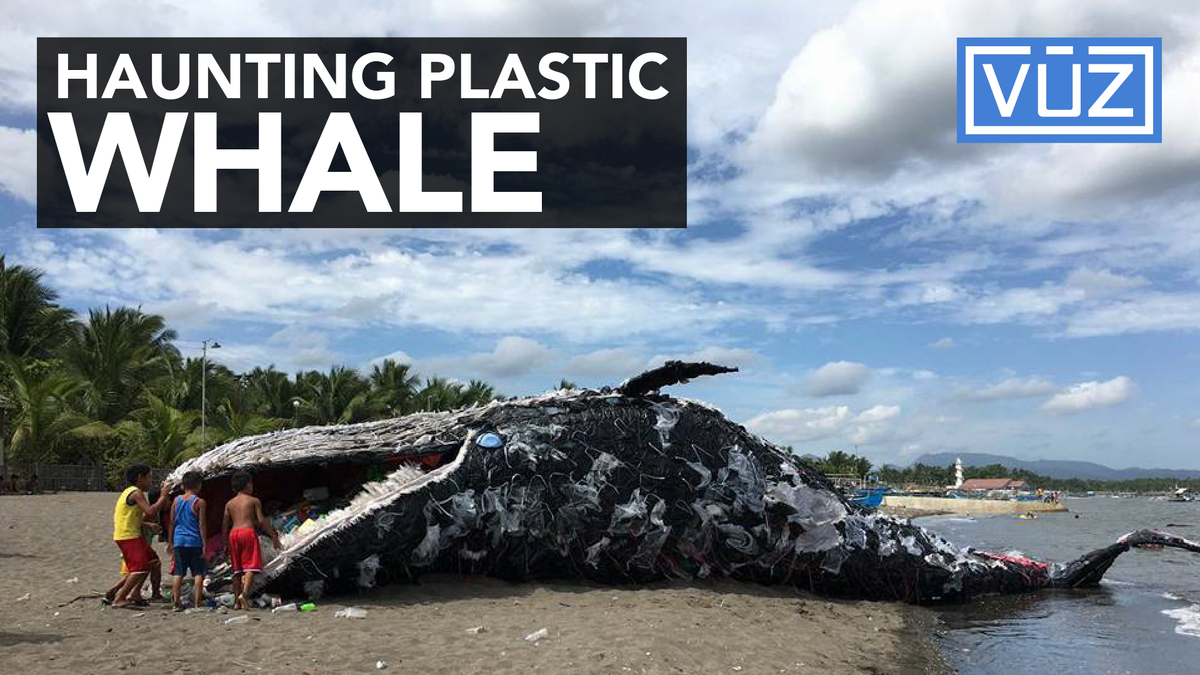Dead whale sculpture has something to say about plastic use