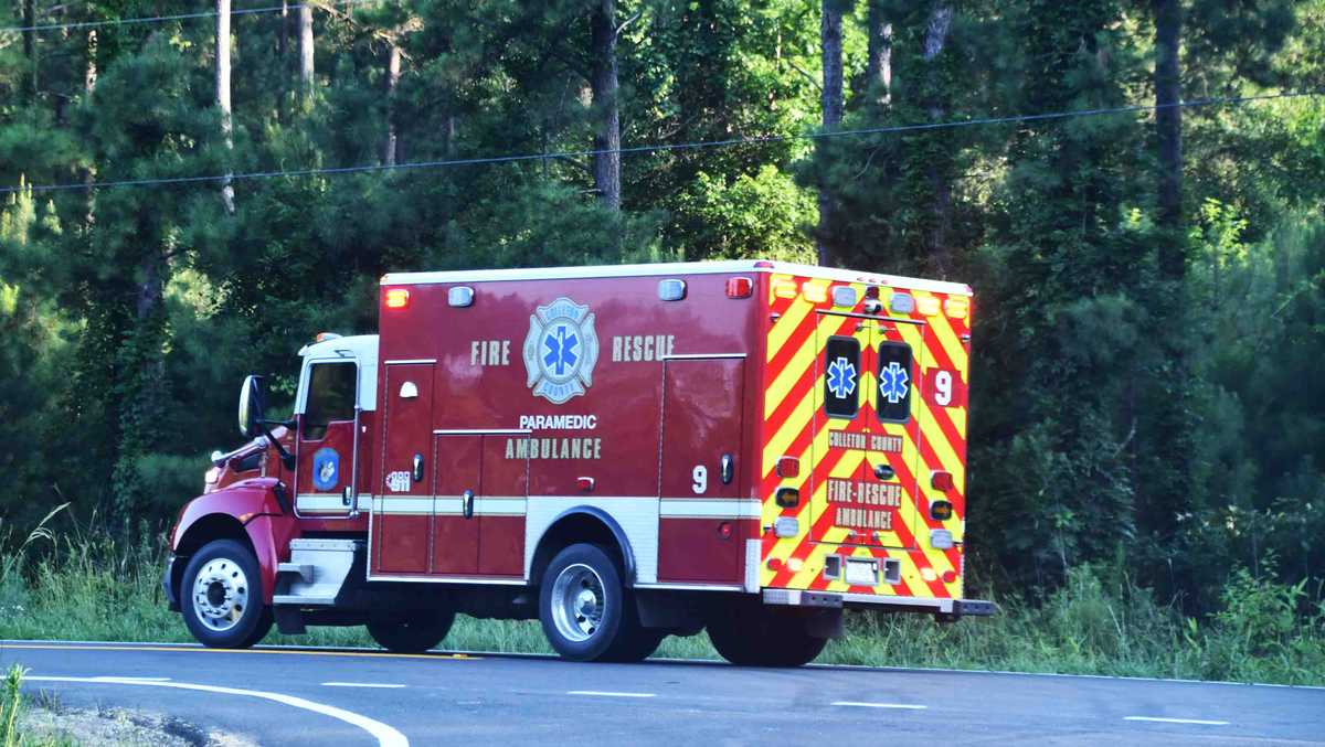 South Carolina: 2-year-old injured in dog 'mauling'