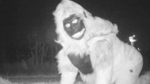 Caught on camera: Werewolf, other creatures roam trail