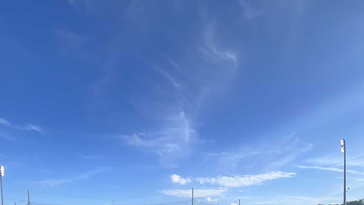 Tarentum native signed as Washington Wild Things right-handed pitcher