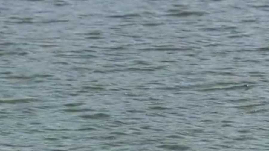 ADEM: A look at water samples across Alabama