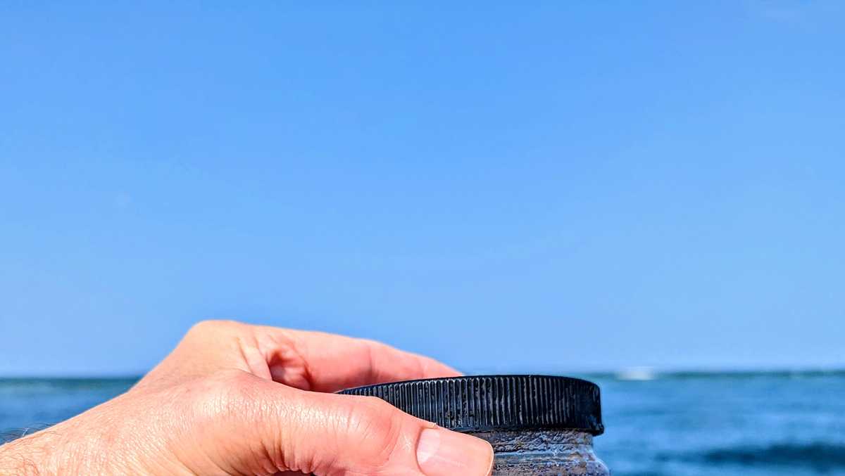 Researchers track large algae bloom in the Gulf of Maine