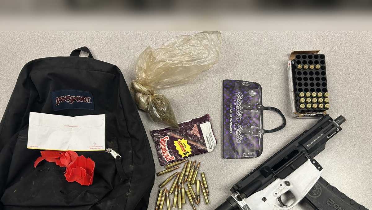 Watsonville police chief arrests alleged armed gang member after chase