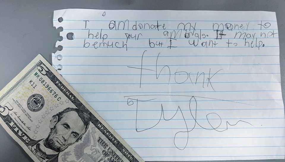 WAVE Foundation at Newport Aquarium searches for boy who donated money ...