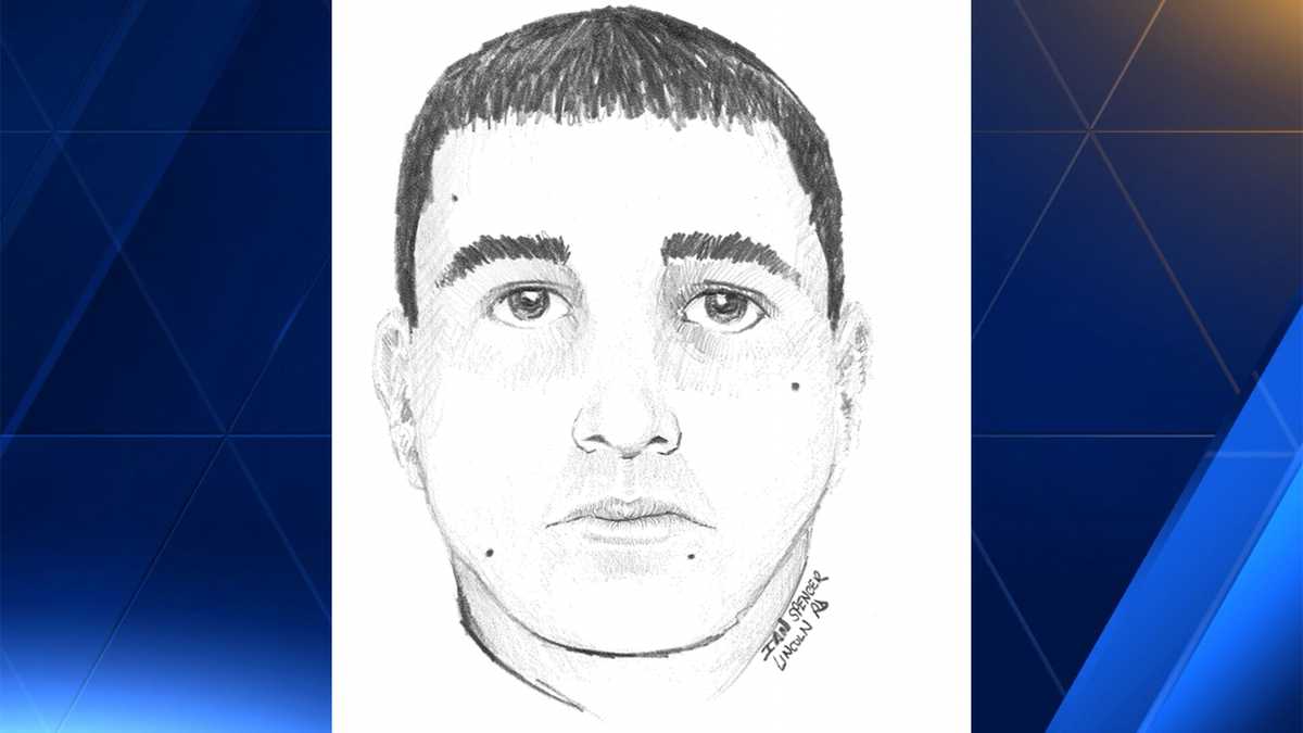 Wayland police release composite of person connected to child luring ...