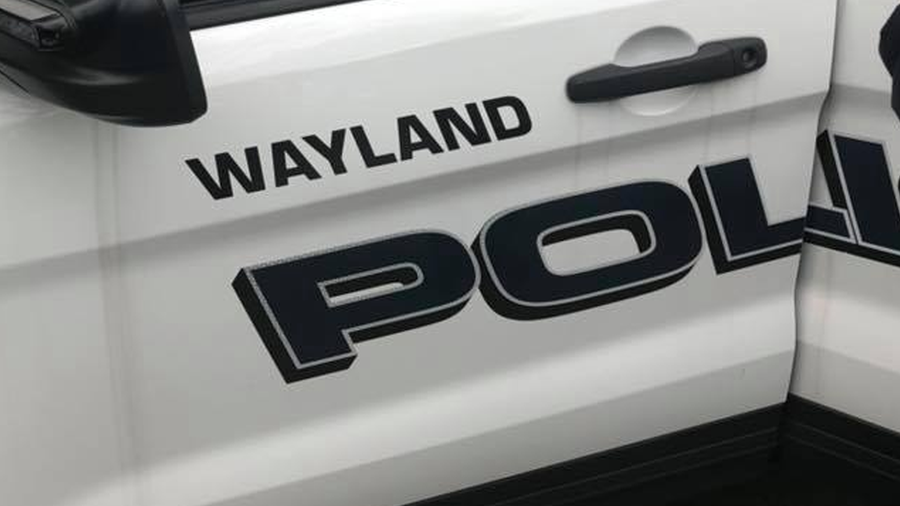 Inert World War II grenade found in Wayland elementary school