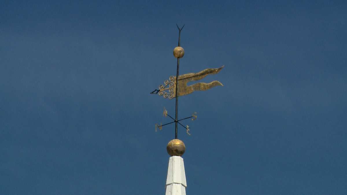 Learning about the world of weathervanes