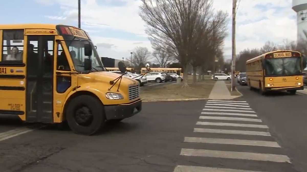 'I was being stupid': Drunken man jumps onto school bus to get closer ...