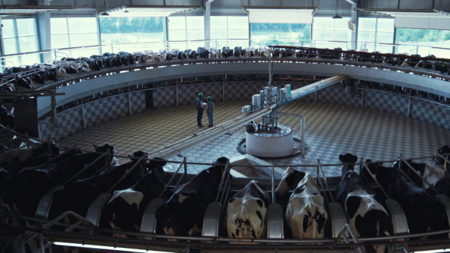 Wisconsin judge affirms regulators can force factory farms to get ...