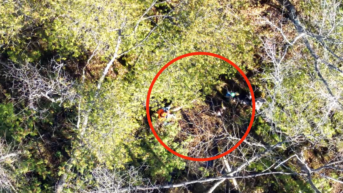 MIssing hunter rescued from Washington County marsh