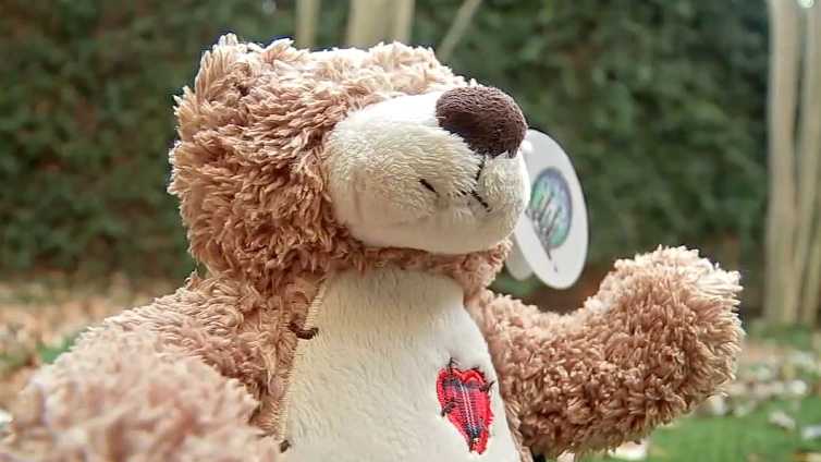 'Miracles happen': Woman seeks owner of bear stuffed with remains she ...