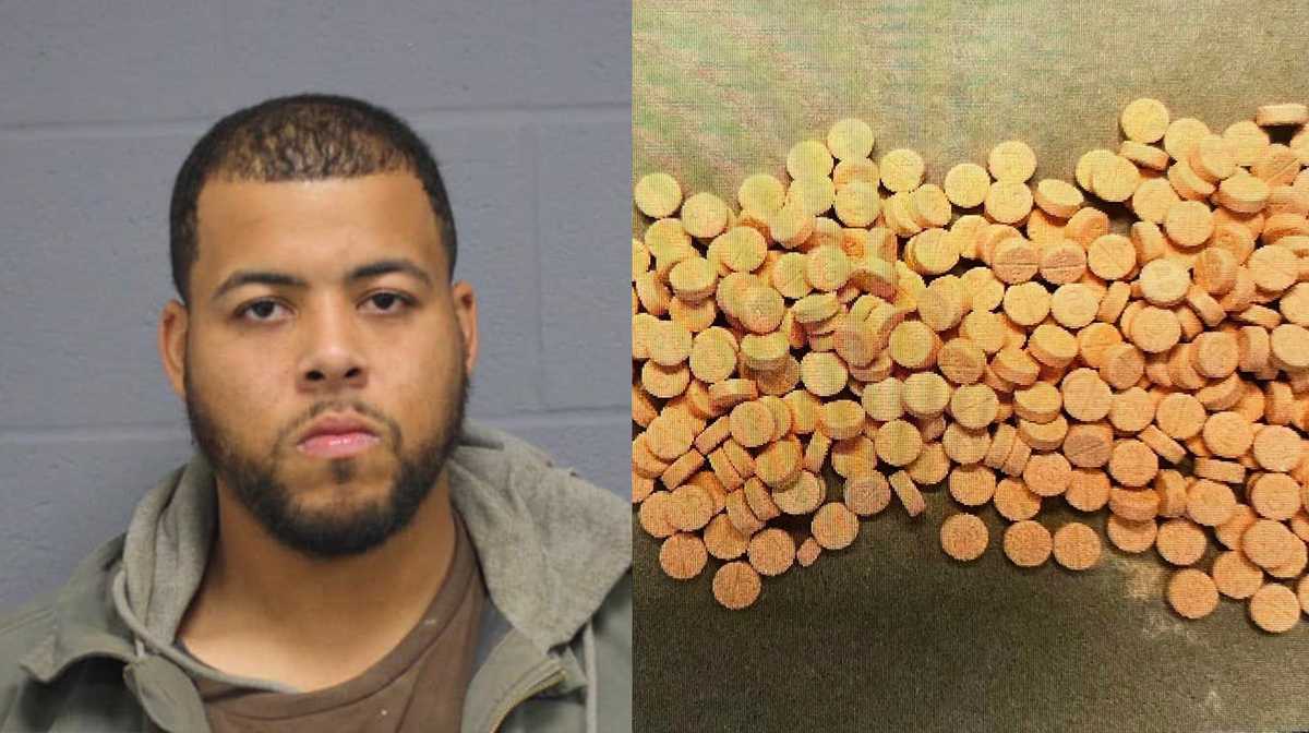 Webster, Mass. man who broke into animal shelter to get dogs back had ...