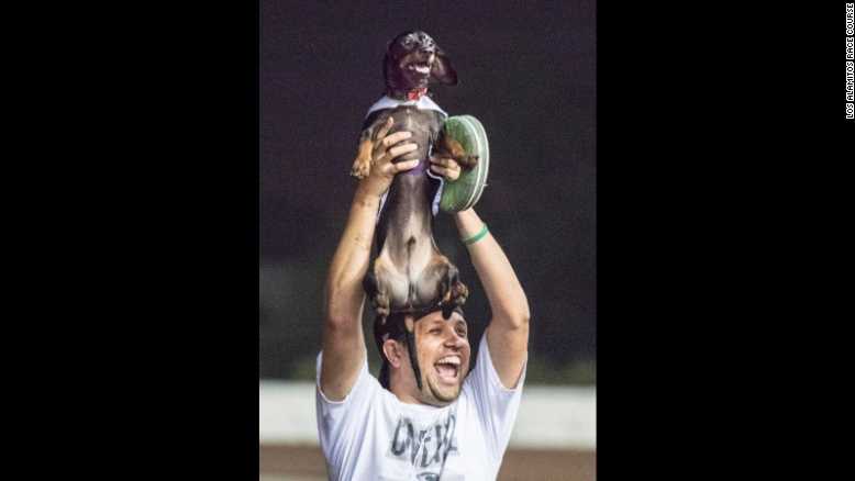 Wiener dog race champ named "Fastest Wiener in the West"