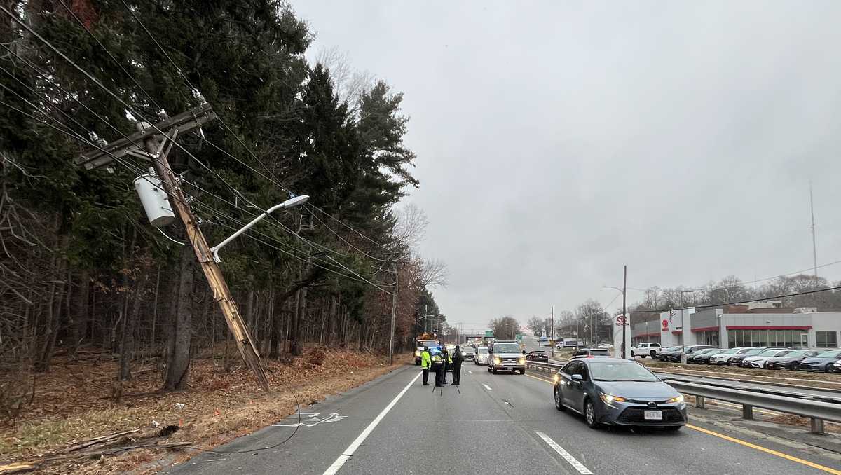 Driver dies after crashing into utility pole, tree on Route 9 in ...